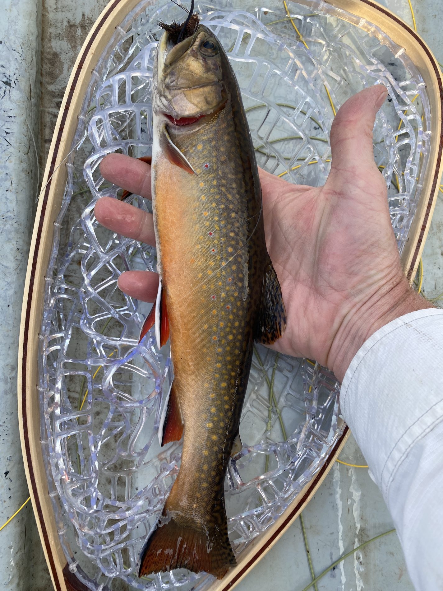 Fly Fishing - Tim Pond Wilderness Camps
