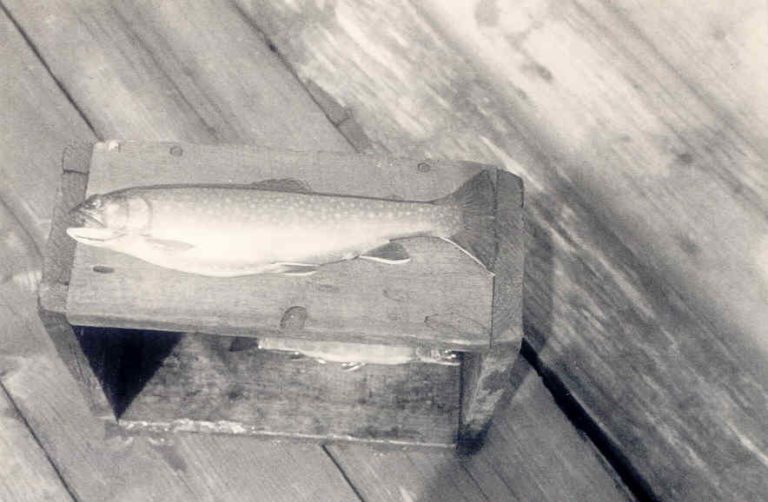 Historical Photo Gallery - Tim Pond Wilderness Camps